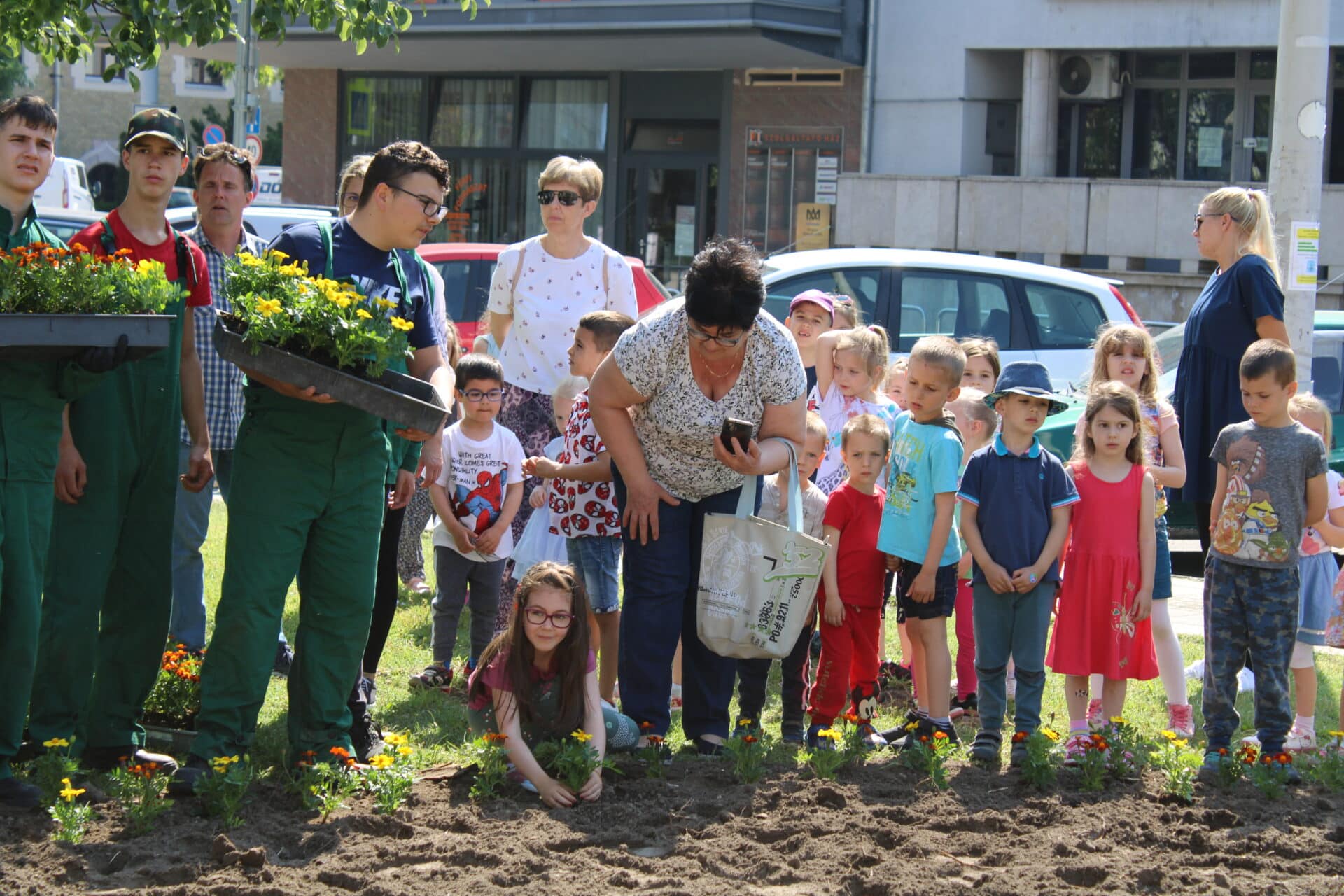 FlórAgóra – virágültetés a Méhek napján