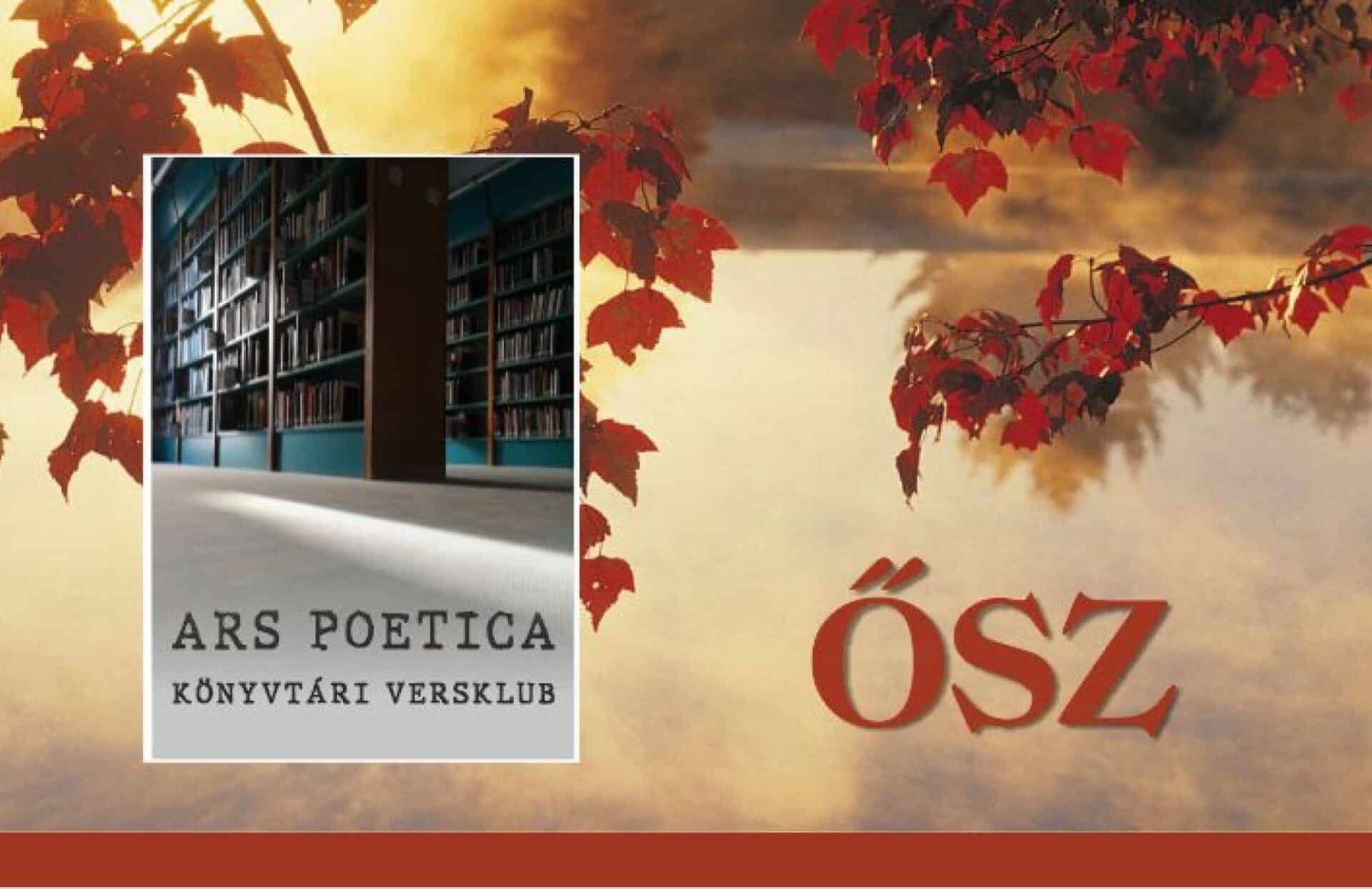 Ars poetica, könyvtári versklub