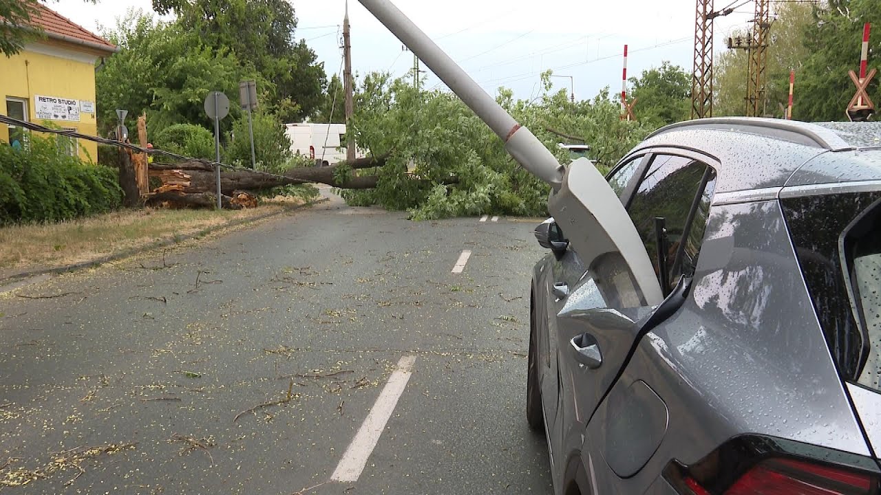 Vitte magával Kecskemétet a szélvihar - Kecskeméti Médiacentrum