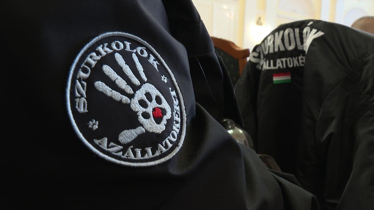 Rozi kutya tárgyalása - Kecskeméti Médiacentrum